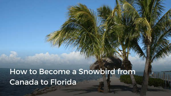 How to Become a Snowbird from Canada to Florida | Zoocasa Blog