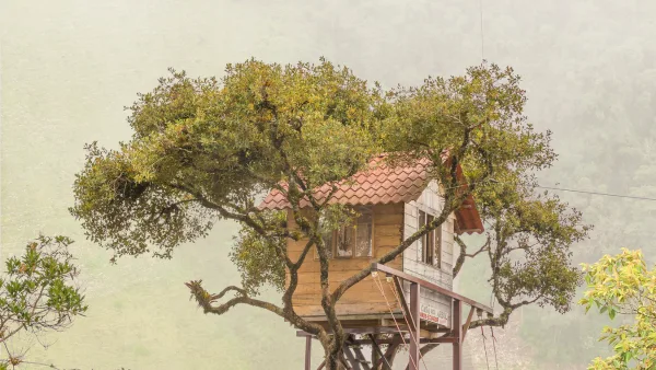 Unique Homes Calgary: Step Inside This Luxury Treehouse-inspired House ...