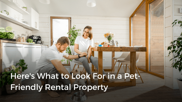 Here's What to Look For in a Pet-Friendly Rental Property | Zoocasa Blog