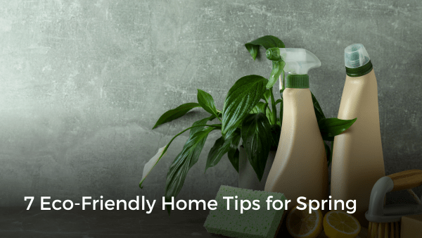7 Eco-Friendly Home Tips for Spring | Zoocasa Blog