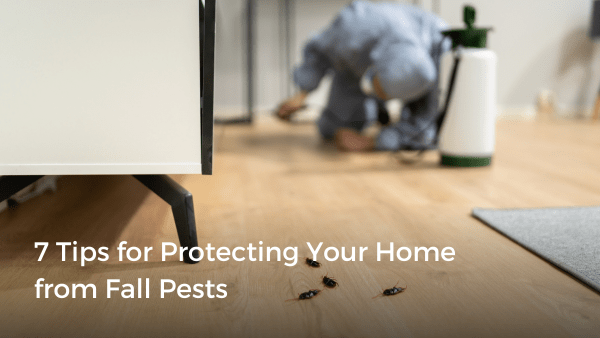 7 Tips for Protecting Your Home from Fall Pests | Zoocasa Blog