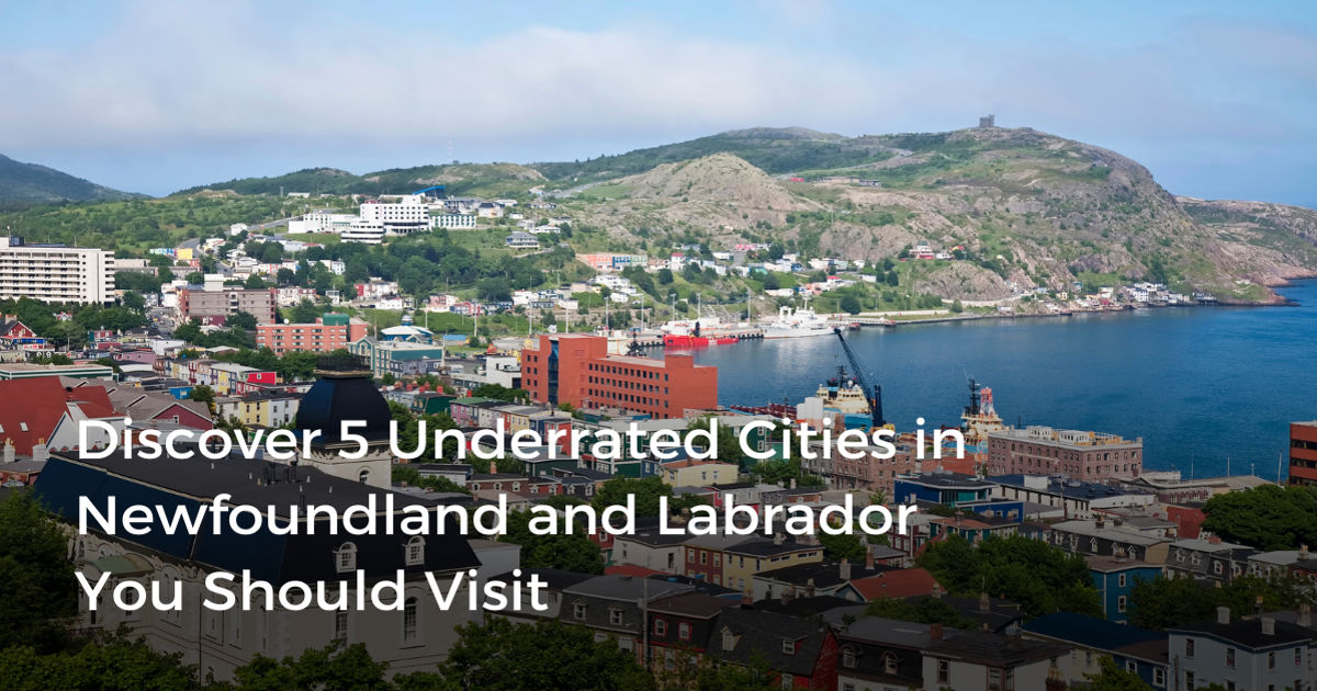 Discover 5 Underrated Cities in Newfoundland and Labrador