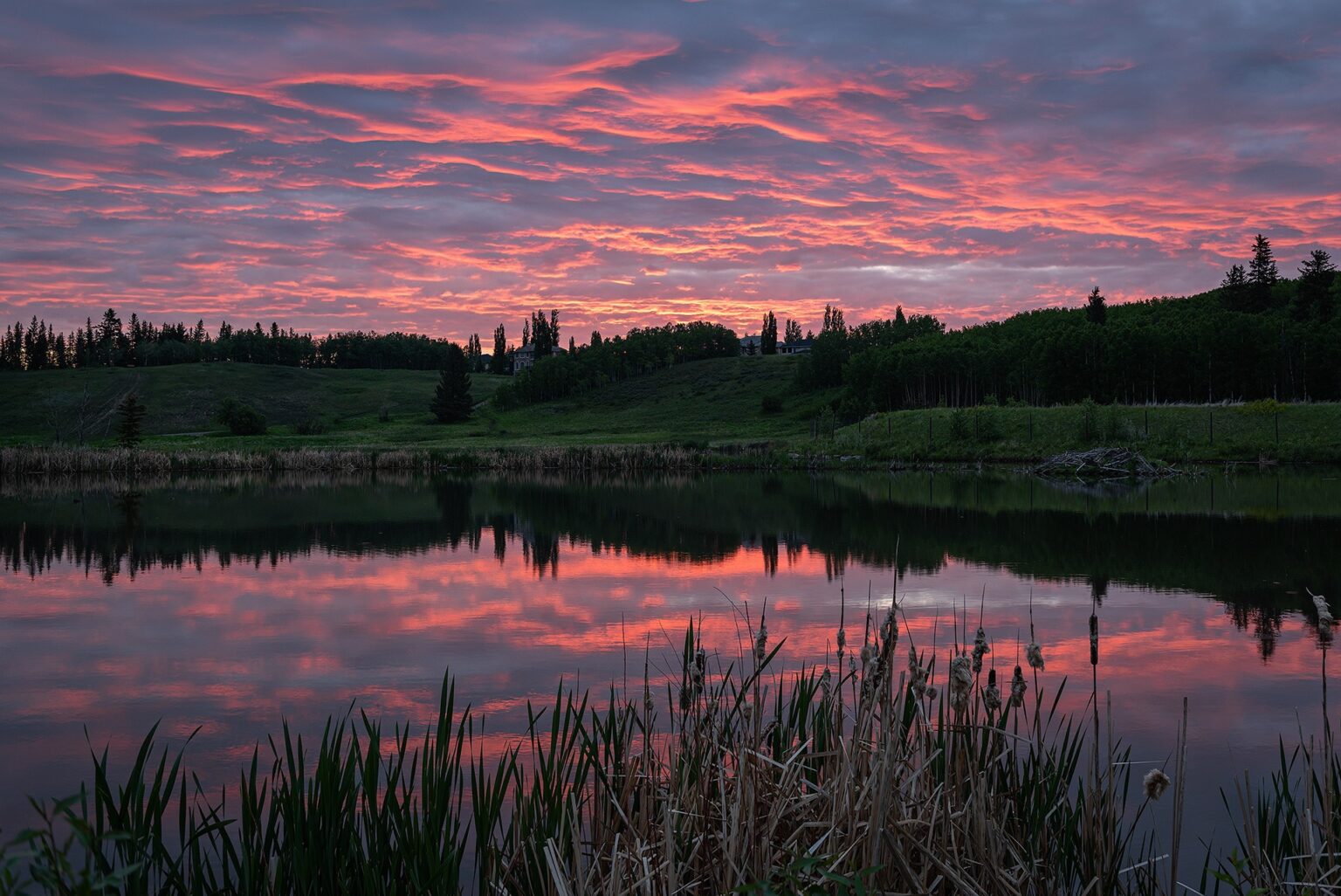 The Best Places to Catch a Sunset in Calgary